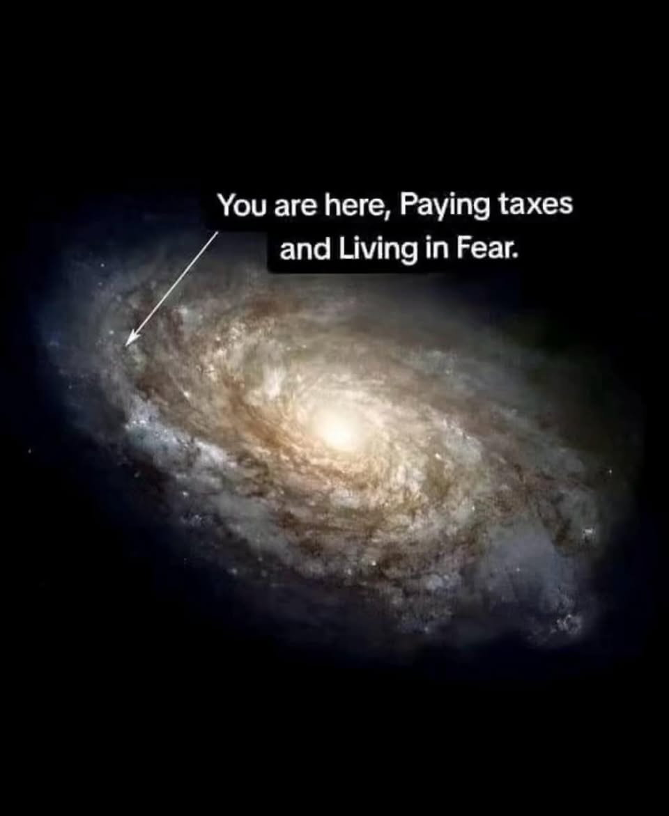 You are here… Paying taxes and living in fear. – Torontopoly